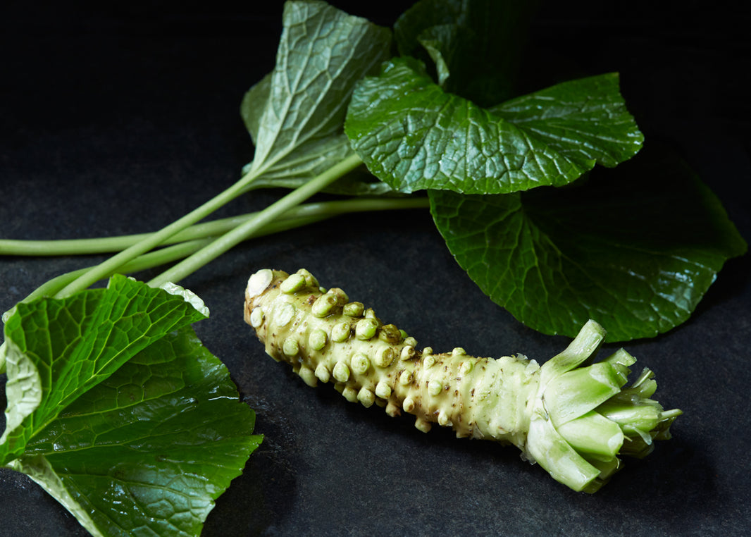 Half Moon Bay Wasabi, LLC