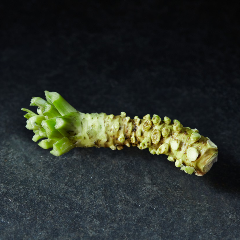 Real Wasabi vs Fake Wasabi: Ingredients, Key Differences, and Taste ...